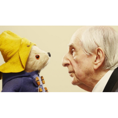 ¿Conocés al oso Paddington?